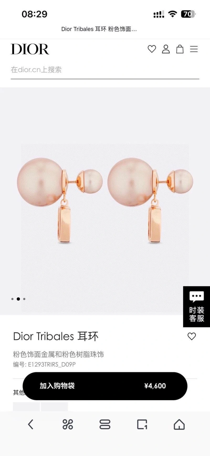 Official Christian Dior Earrings