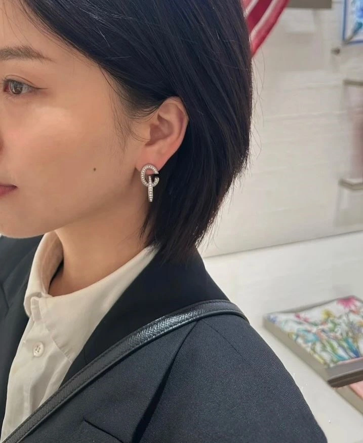 1:1 copy Christian Dior Earrings