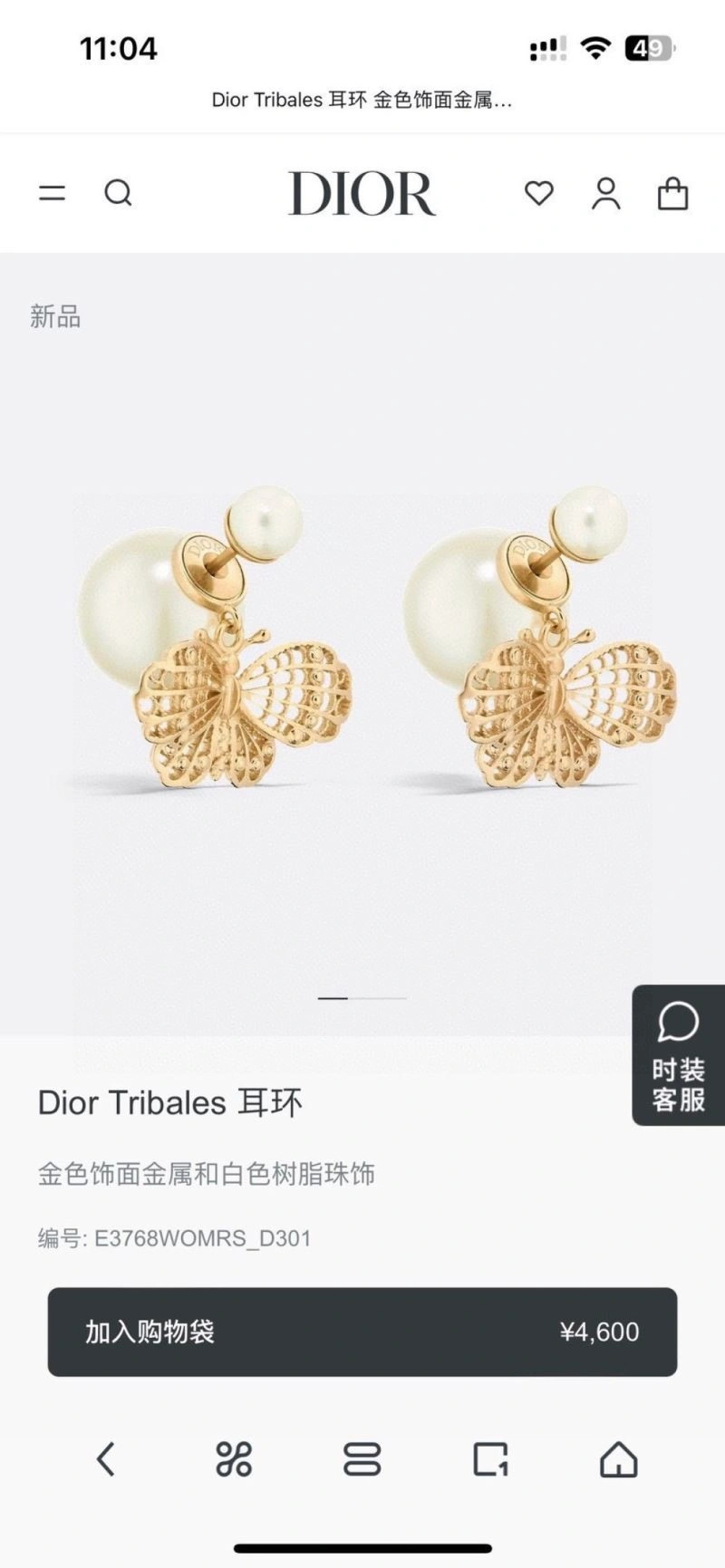 Accurate model Christian Dior Earrings