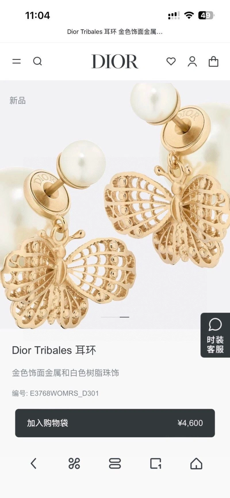 Accurate model Christian Dior Earrings