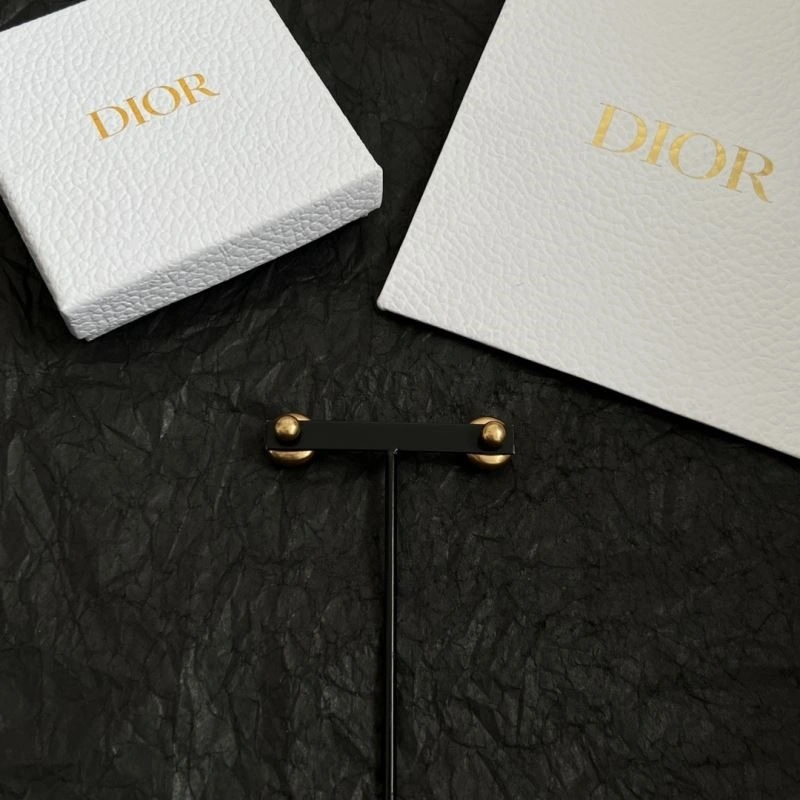 Christian Dior Earrings