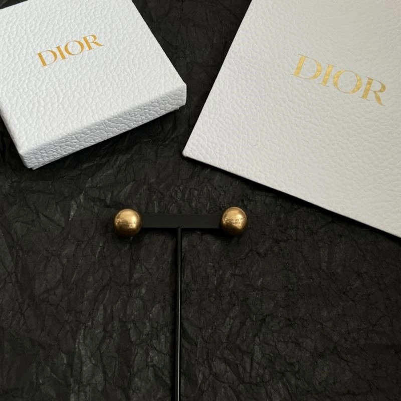 High fidelity Christian Dior Earrings