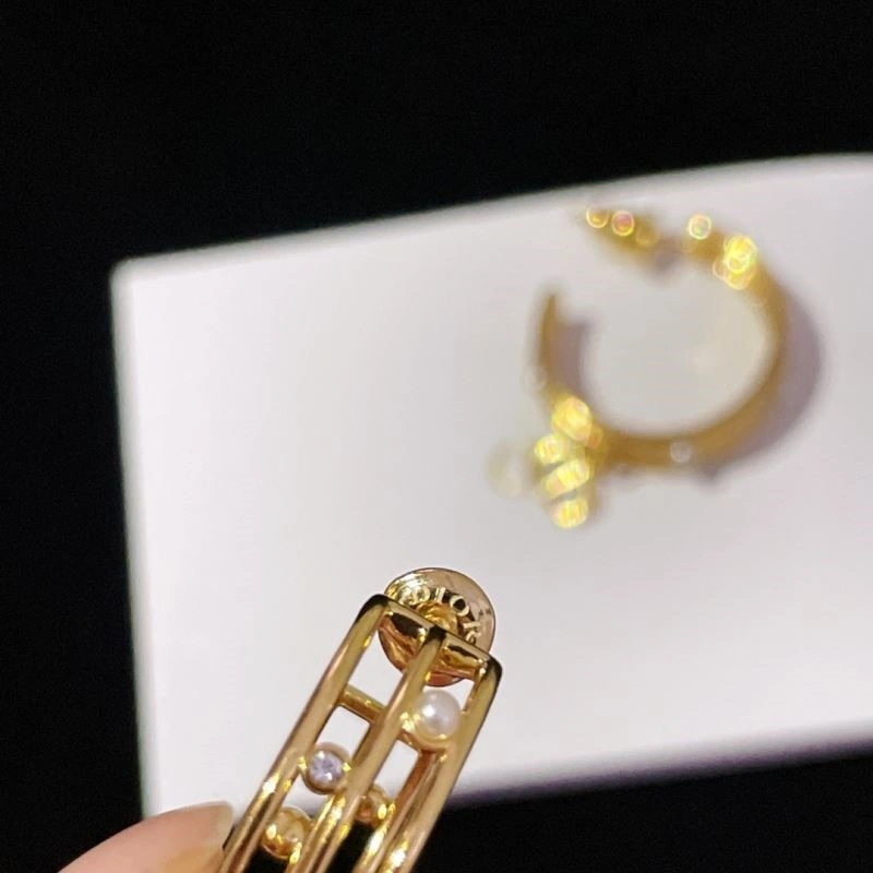 Cut-rate Christian Dior Earrings
