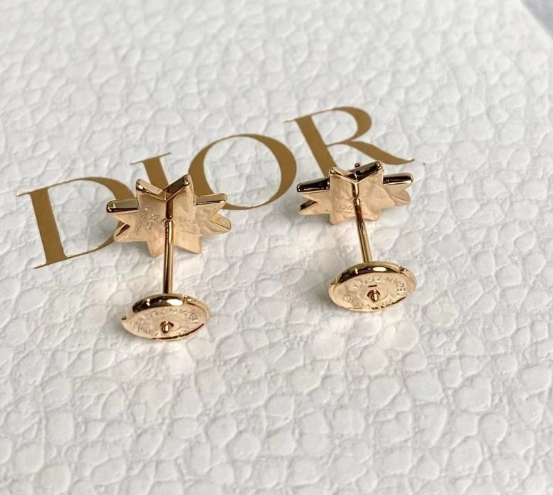 Legit Christian Dior Earrings