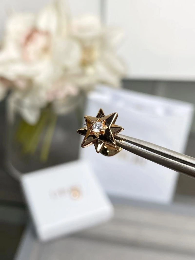 Legit Christian Dior Earrings