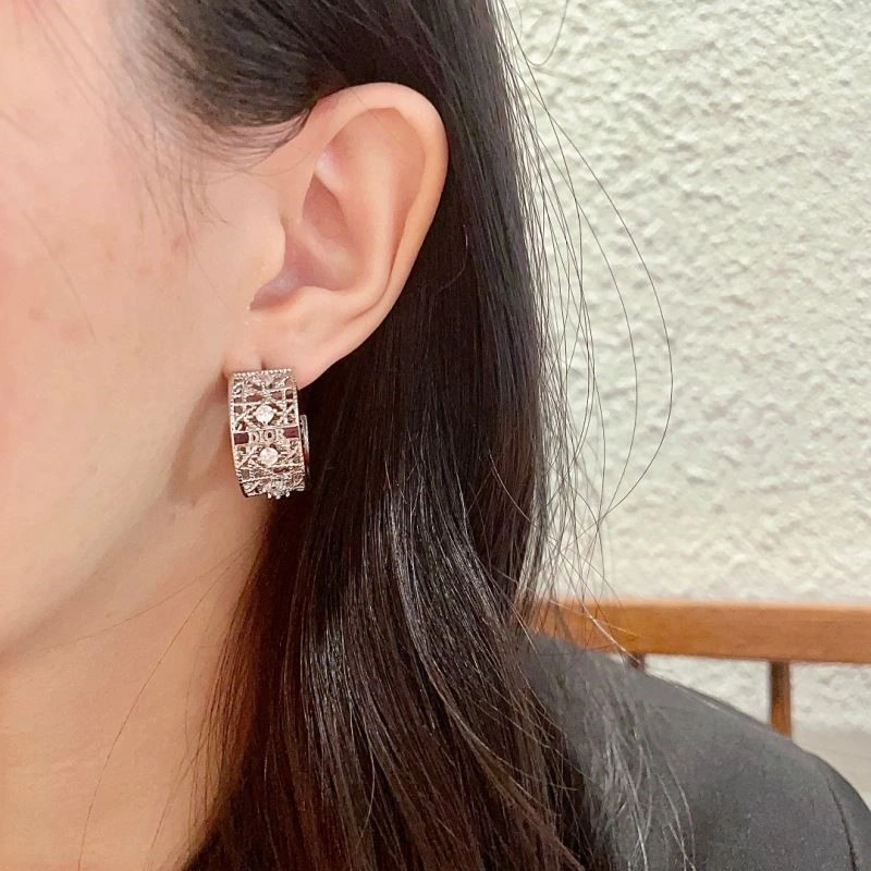 1:1 copy Christian Dior Earrings