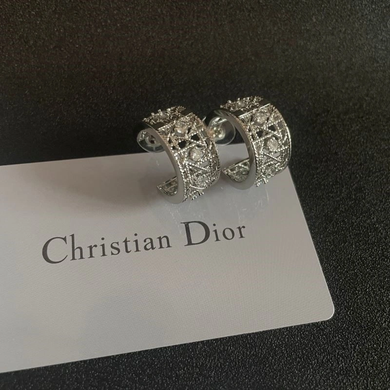 1:1 copy Christian Dior Earrings