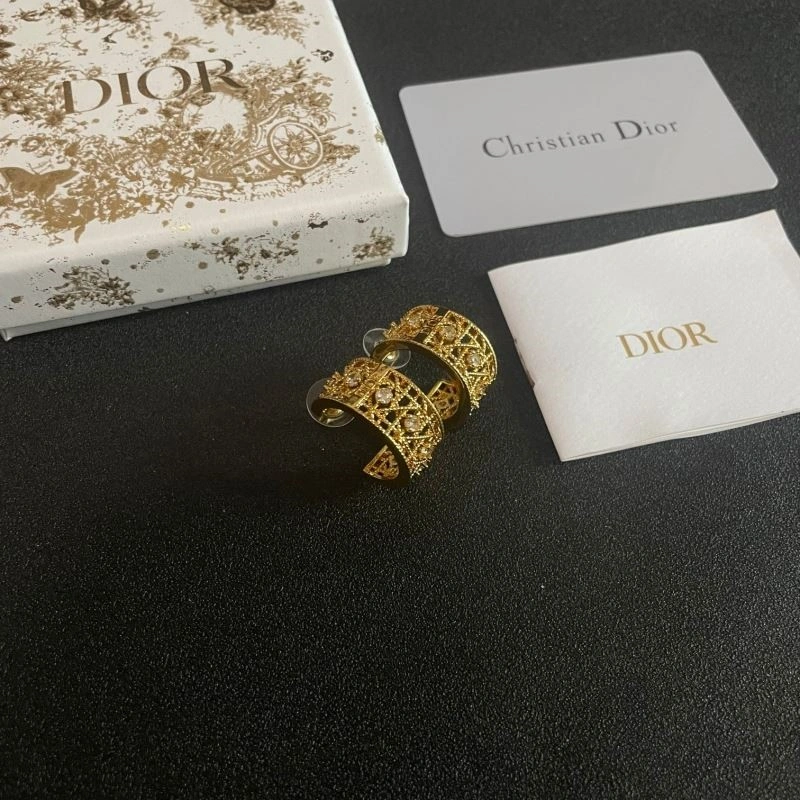 Accurate model Christian Dior Earrings