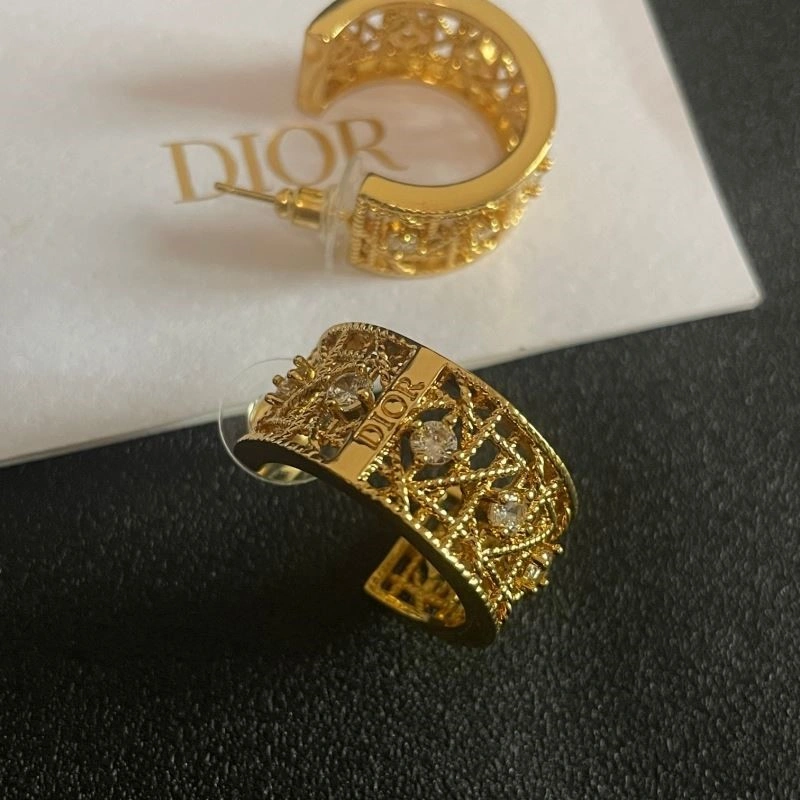 Accurate model Christian Dior Earrings
