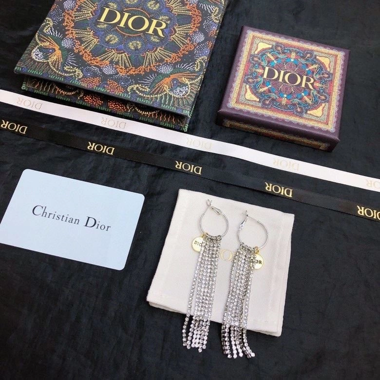 Brand-original Christian Dior Earrings