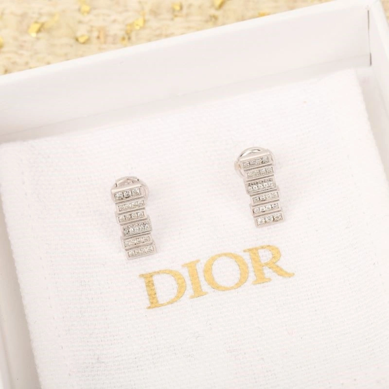 High accuracy Christian Dior Earrings