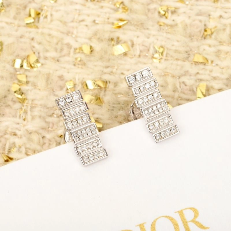 High accuracy Christian Dior Earrings