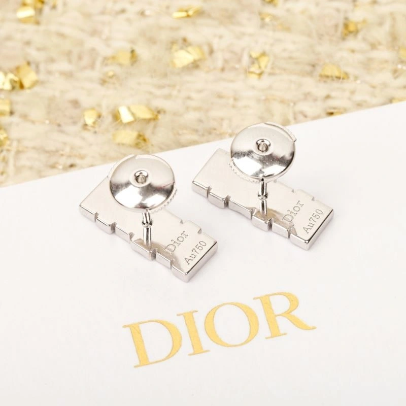 High accuracy Christian Dior Earrings