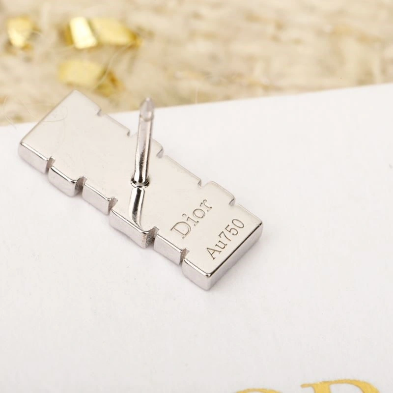 High accuracy Christian Dior Earrings