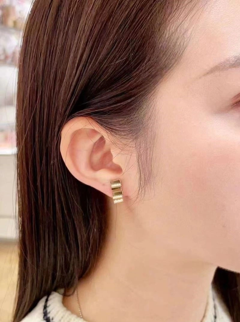 Top match Christian Dior Earrings