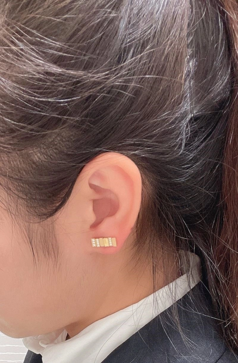 Top match Christian Dior Earrings