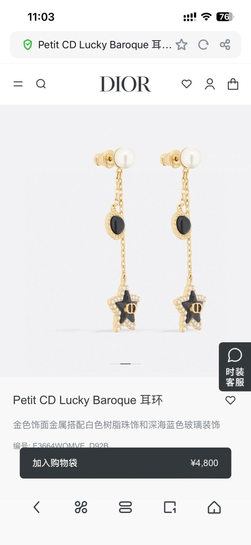 Christian Dior Earrings