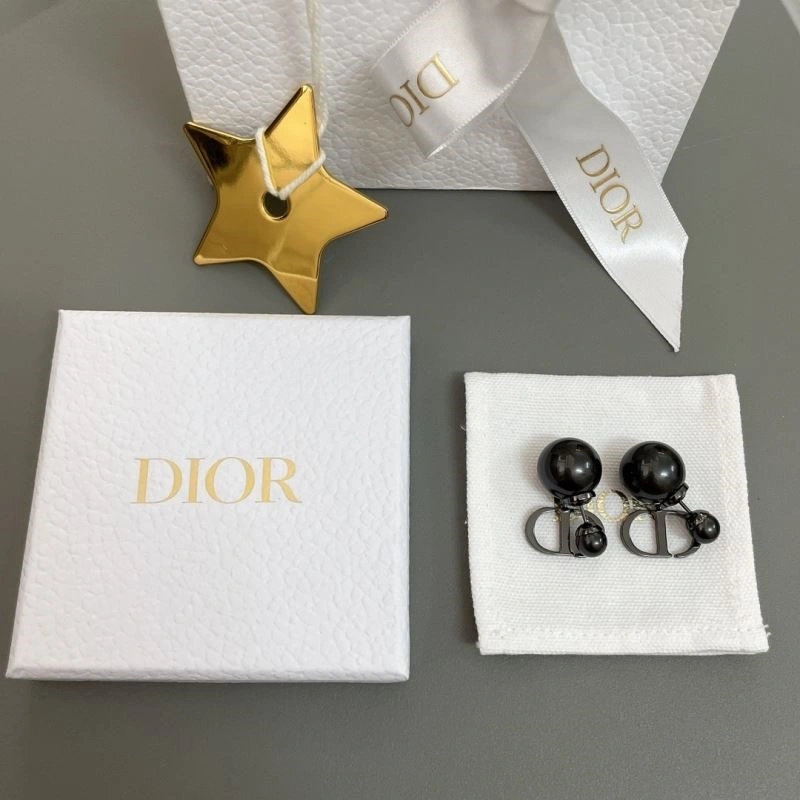 Christian Dior Earrings