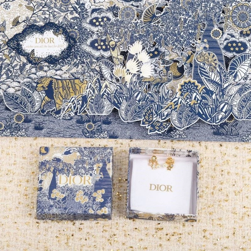 Christian Dior Earrings