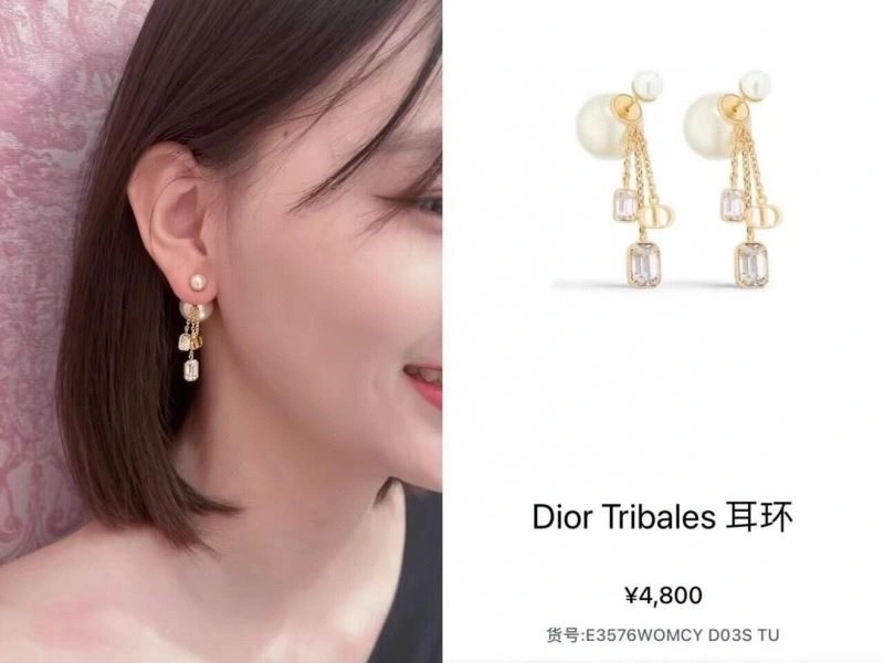 Reasonably priced Christian Dior Earrings