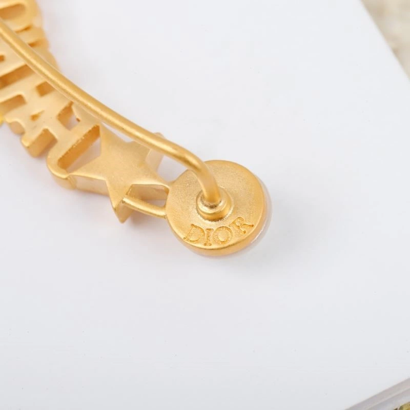 High fidelity Christian Dior Earrings