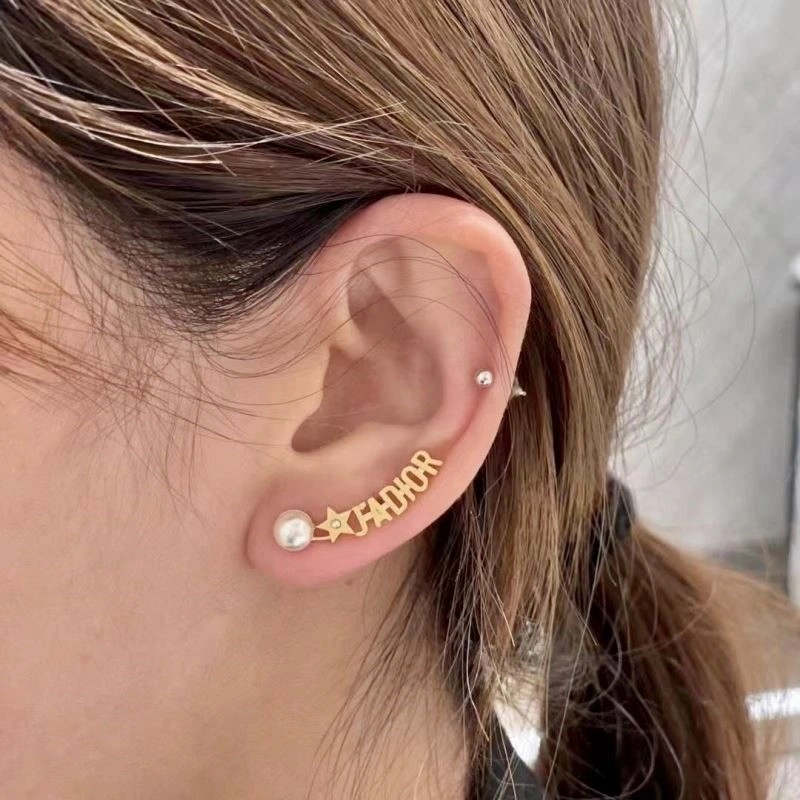 High fidelity Christian Dior Earrings