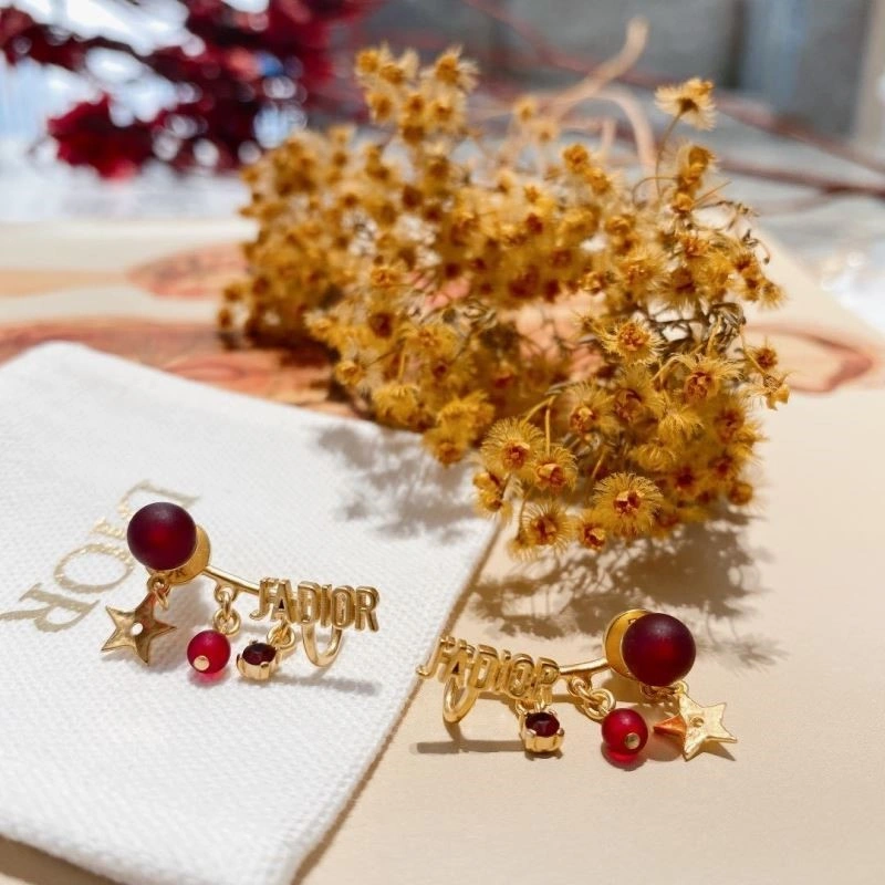 Inexpensive Christian Dior Earrings