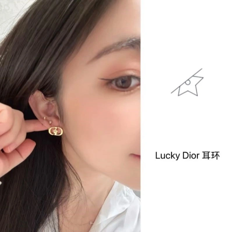 High fidelity Christian Dior Earrings