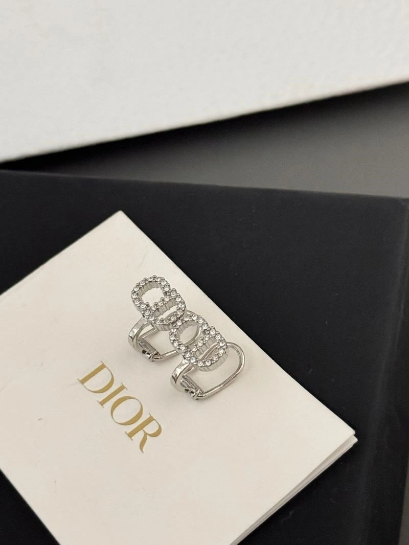 1:1 copy Christian Dior Earrings