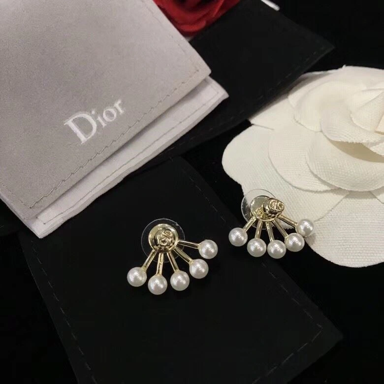 Reasonably priced Christian Dior Earrings