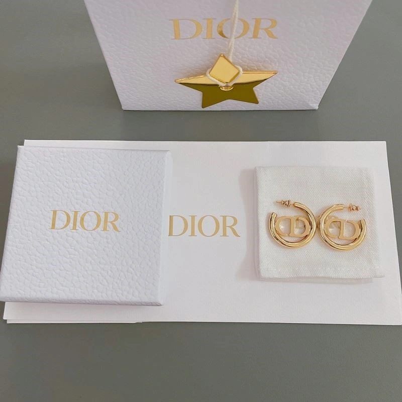 Cut-rate Christian Dior Earrings