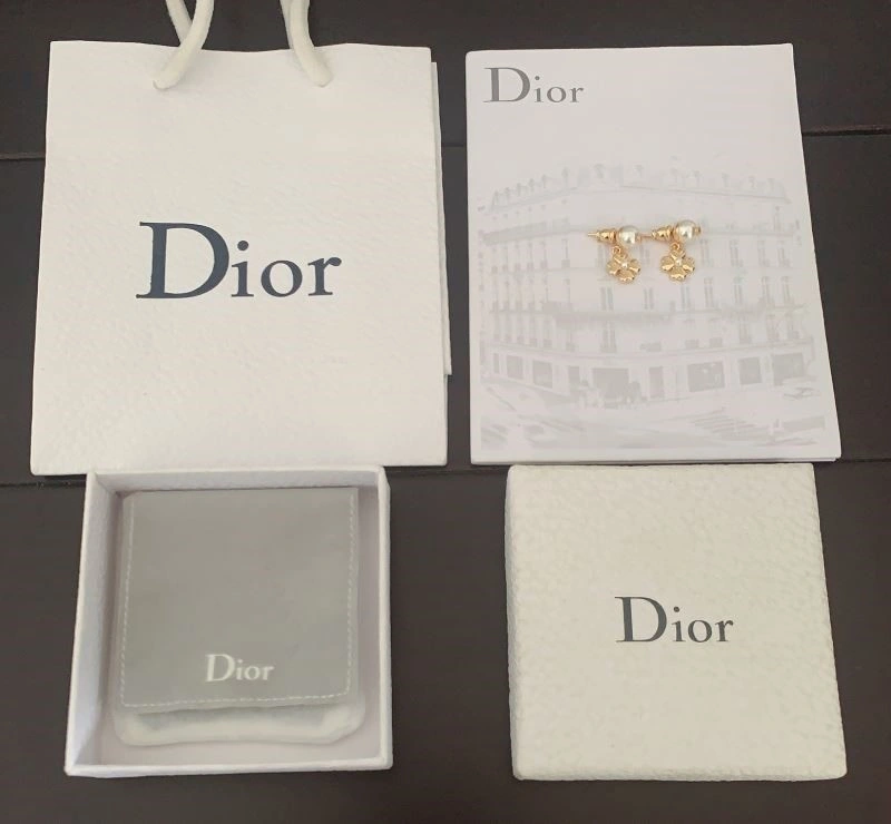 Mirror quality Christian Dior Earrings
