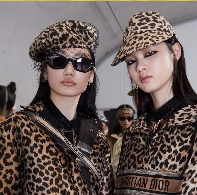 Precise copy Christian Dior Earrings