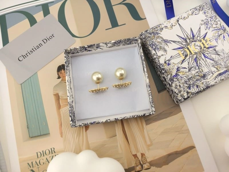 1:1 copy Christian Dior Earrings