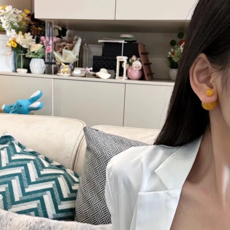High accuracy Christian Dior Earrings