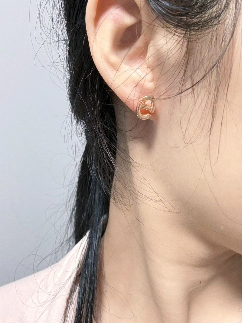 Factory-made Christian Dior Earrings