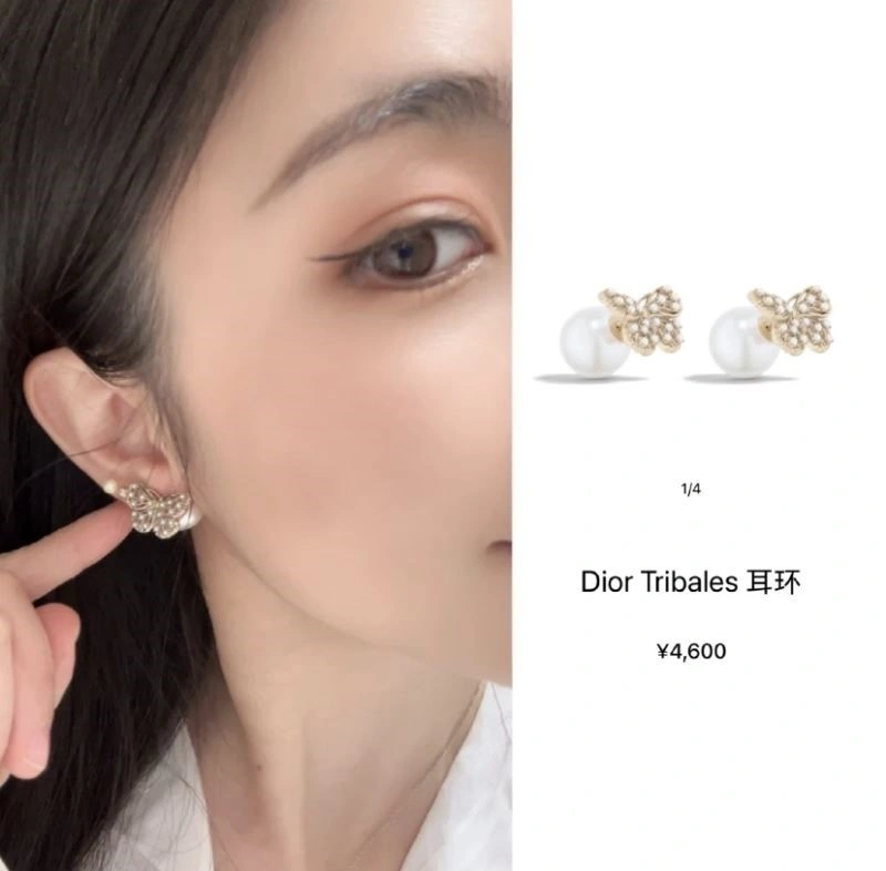 High accuracy Christian Dior Earrings