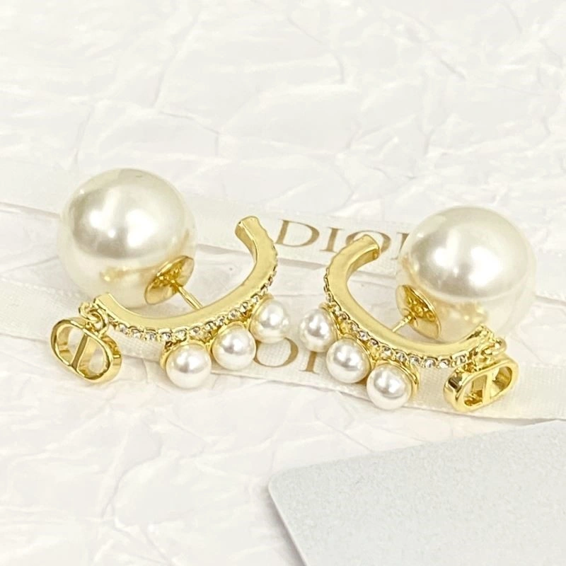 High accuracy Christian Dior Earrings