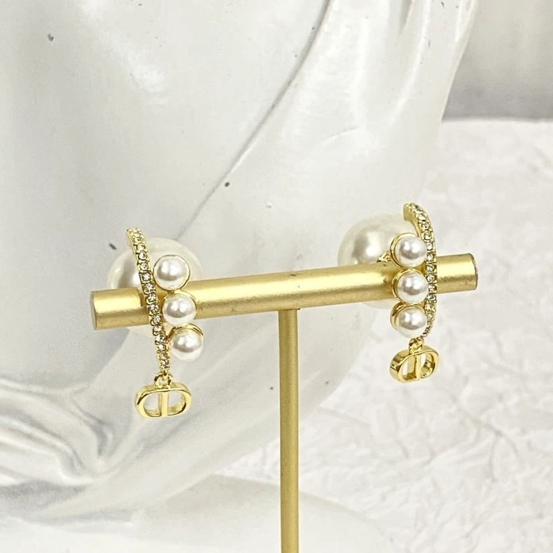 High accuracy Christian Dior Earrings
