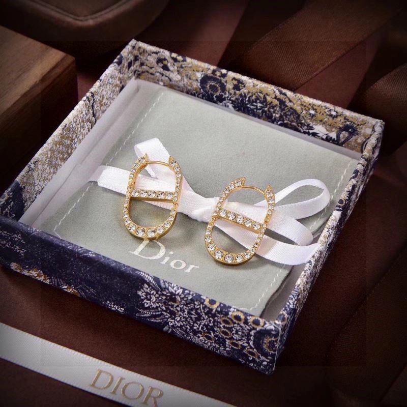 Christian Dior Earrings