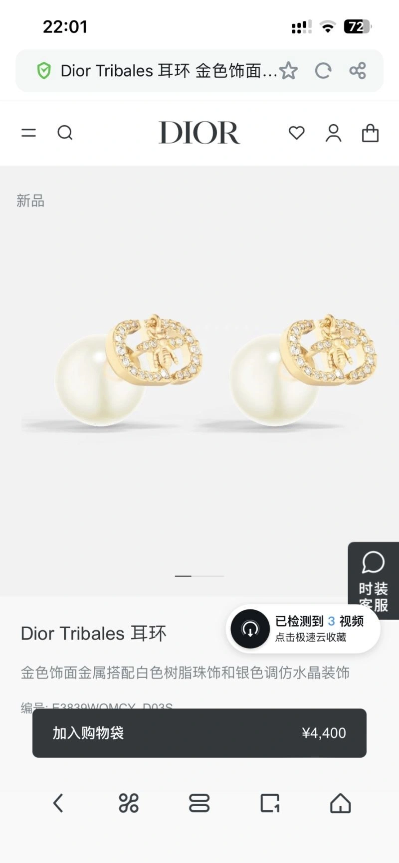 Christian Dior Earrings