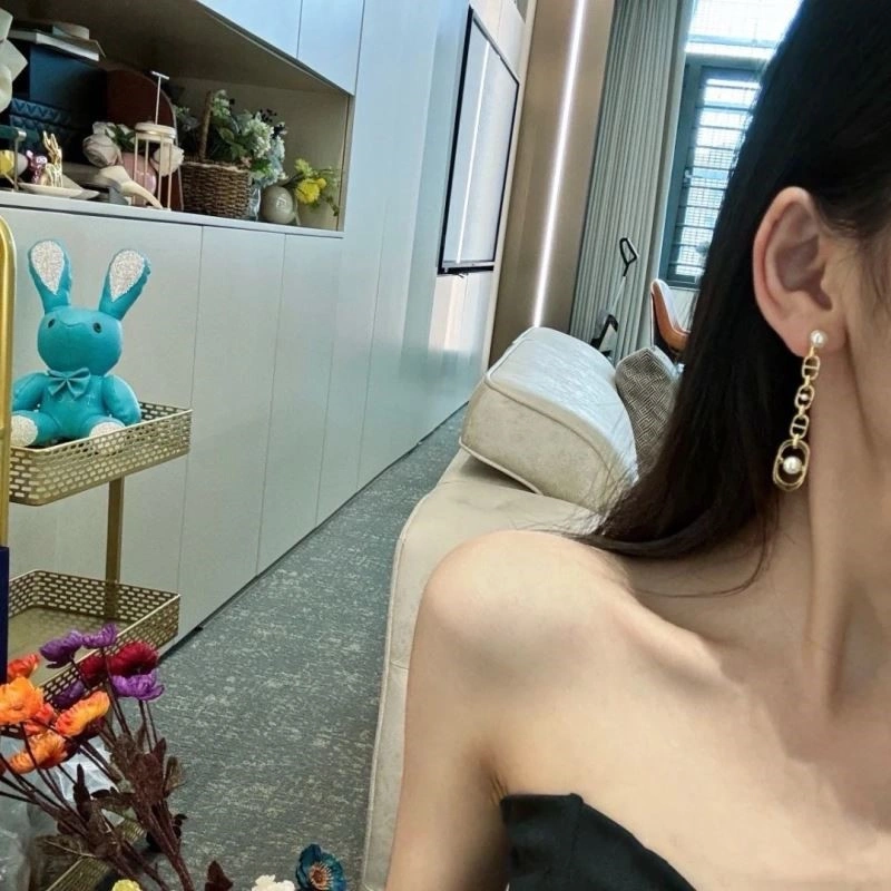 Factory-made Christian Dior Earrings