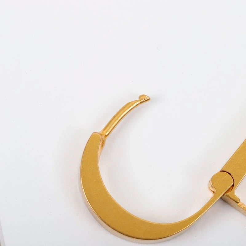 Reasonably priced Christian Dior Earrings