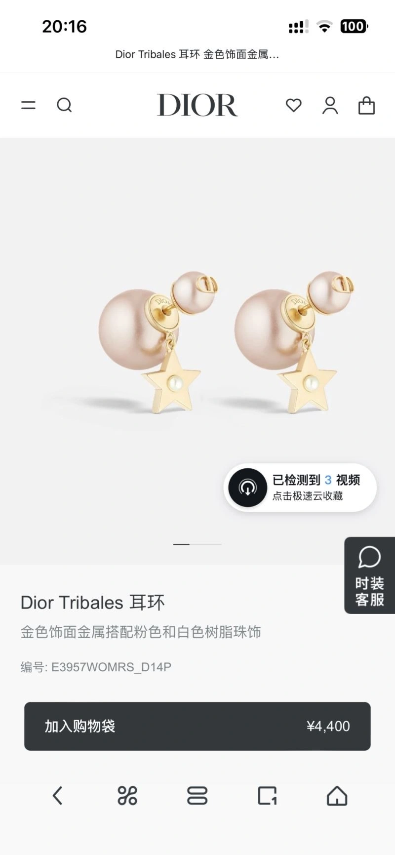 Christian Dior Earrings