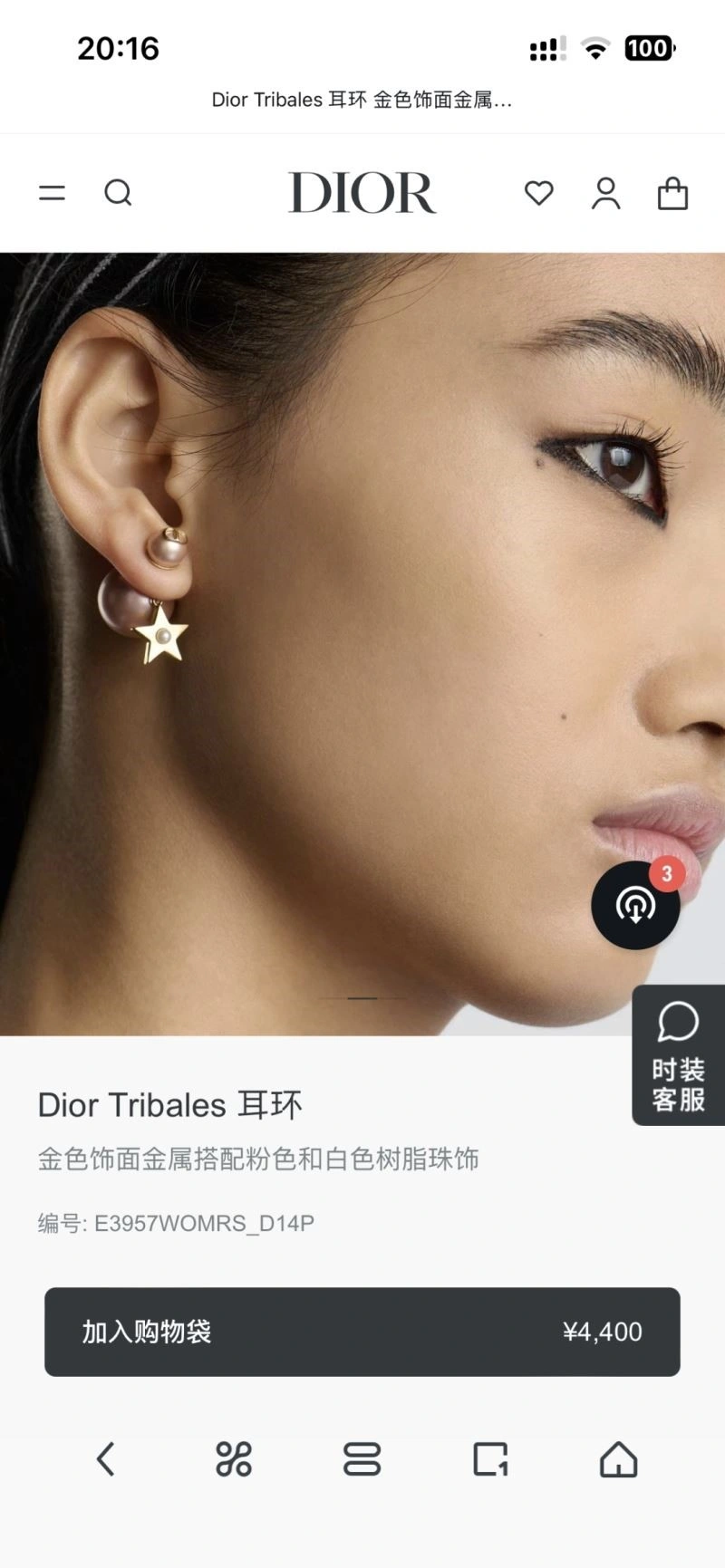 Mirror quality Christian Dior Earrings