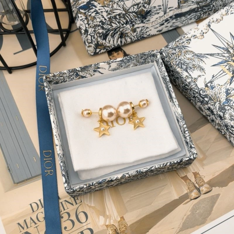 Mirror quality Christian Dior Earrings