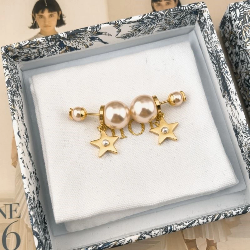 Mirror quality Christian Dior Earrings