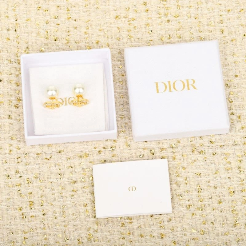 Christian Dior Earrings