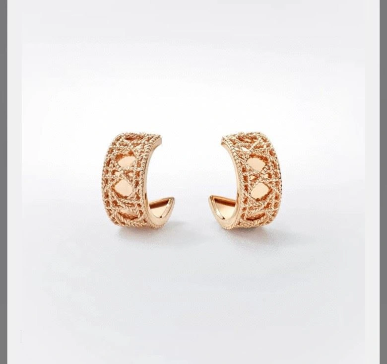 Accurate model Christian Dior Earrings