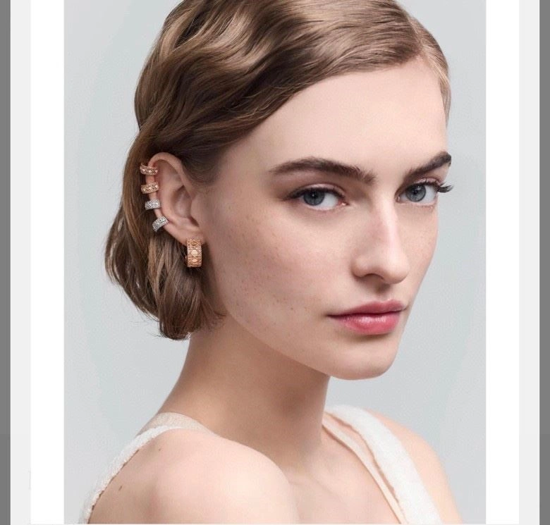 Accurate model Christian Dior Earrings